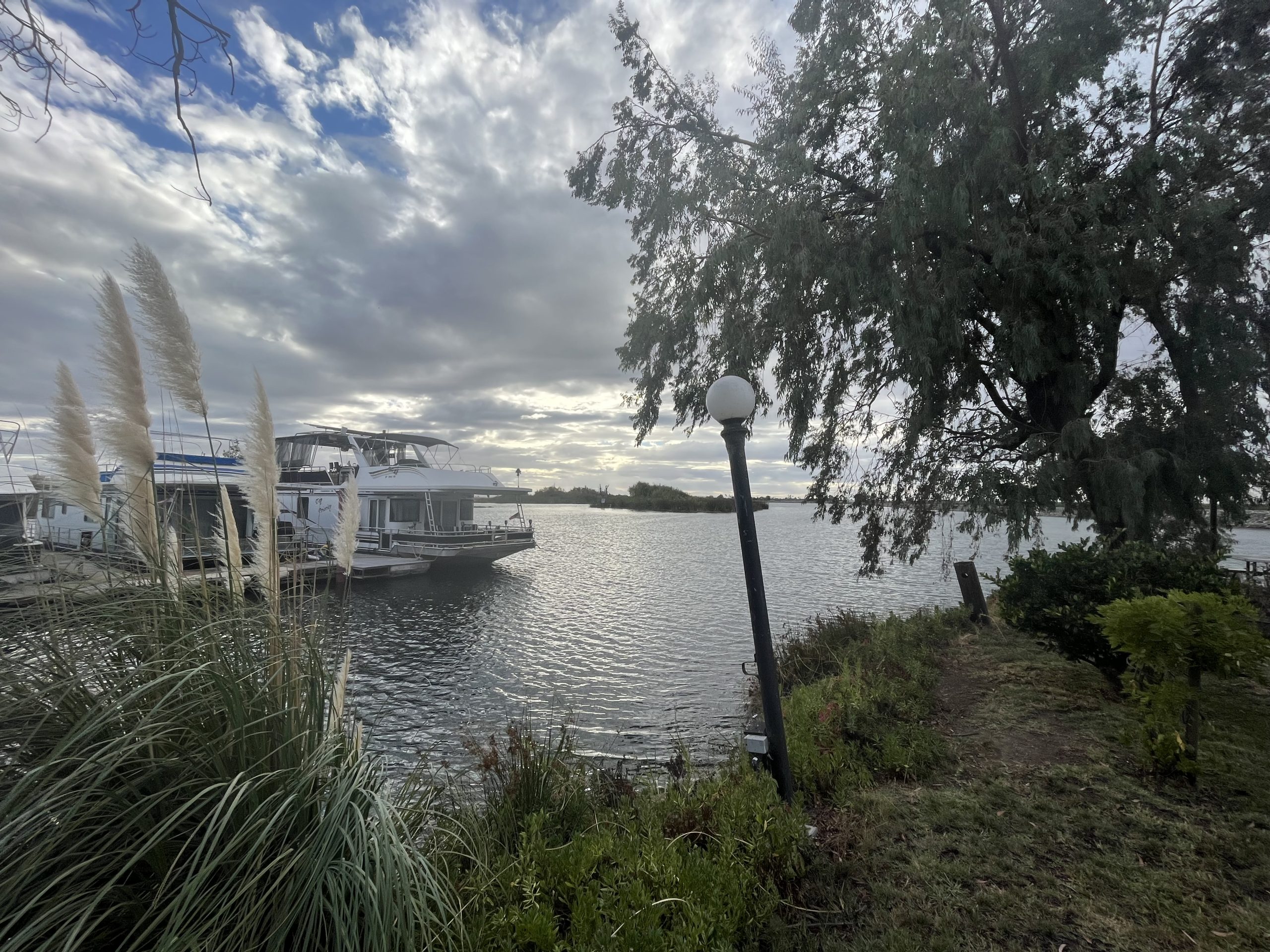 Delta science vs. Delta betrayal - Stocktonia News