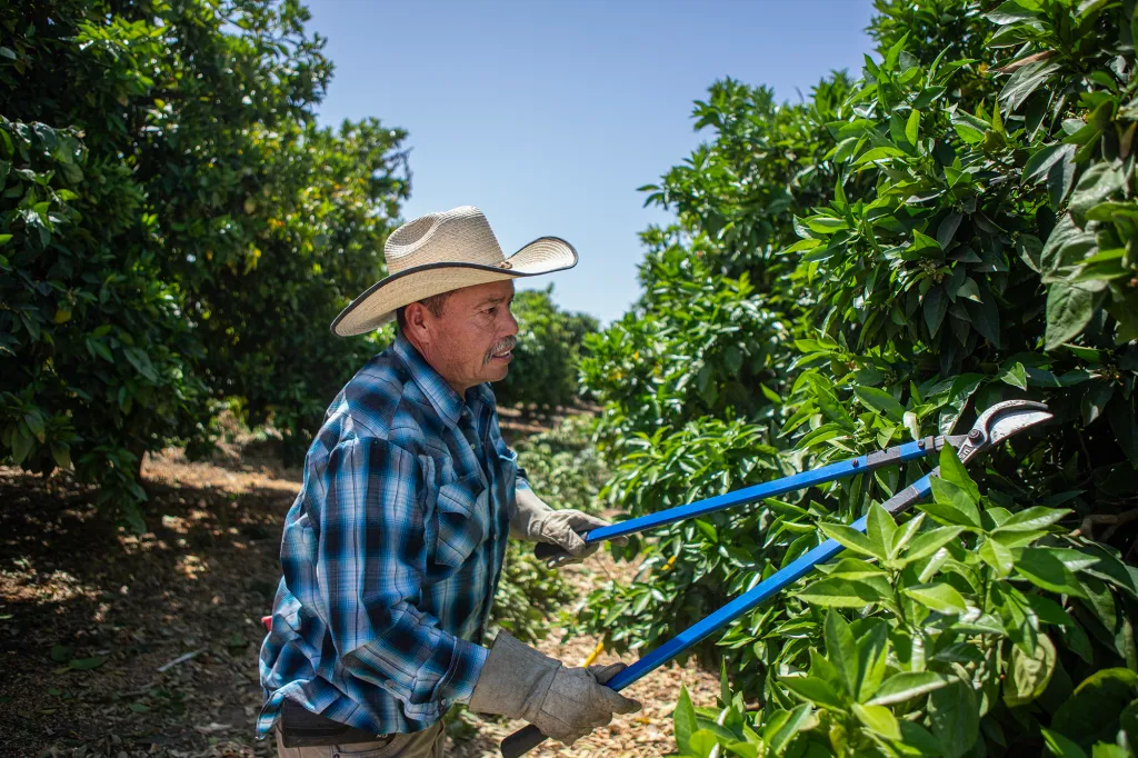 Autonomous tech is coming to farming. What will it mean for crops and ...